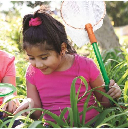 Bug Catching Net EDU Toys - PAUA