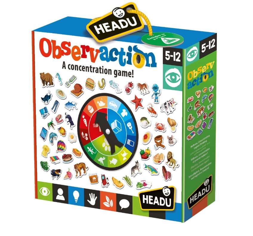 Observation Montessori Game - PAUA