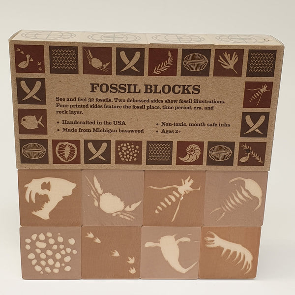 Fossil Blocks - PAUA