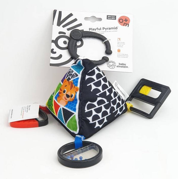 Baby Einstein - PAUA